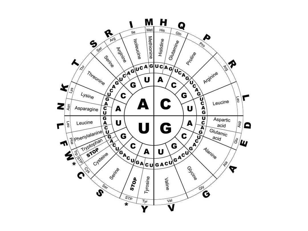 Genetic Code Svg Genetics Svg Dna Svg Genetic Code Clipart Genetic