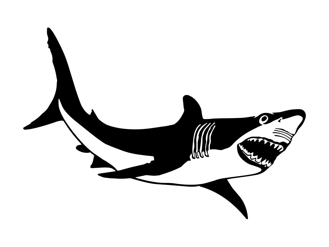 Shark SVG Great White Shark Shark Clipart Shark Files for - Etsy