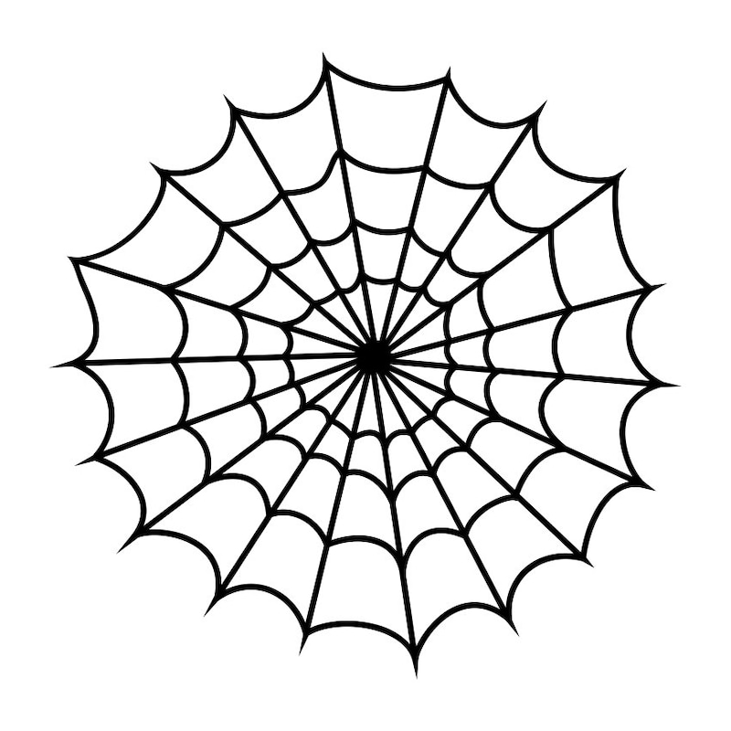 Spider Web - Etsy