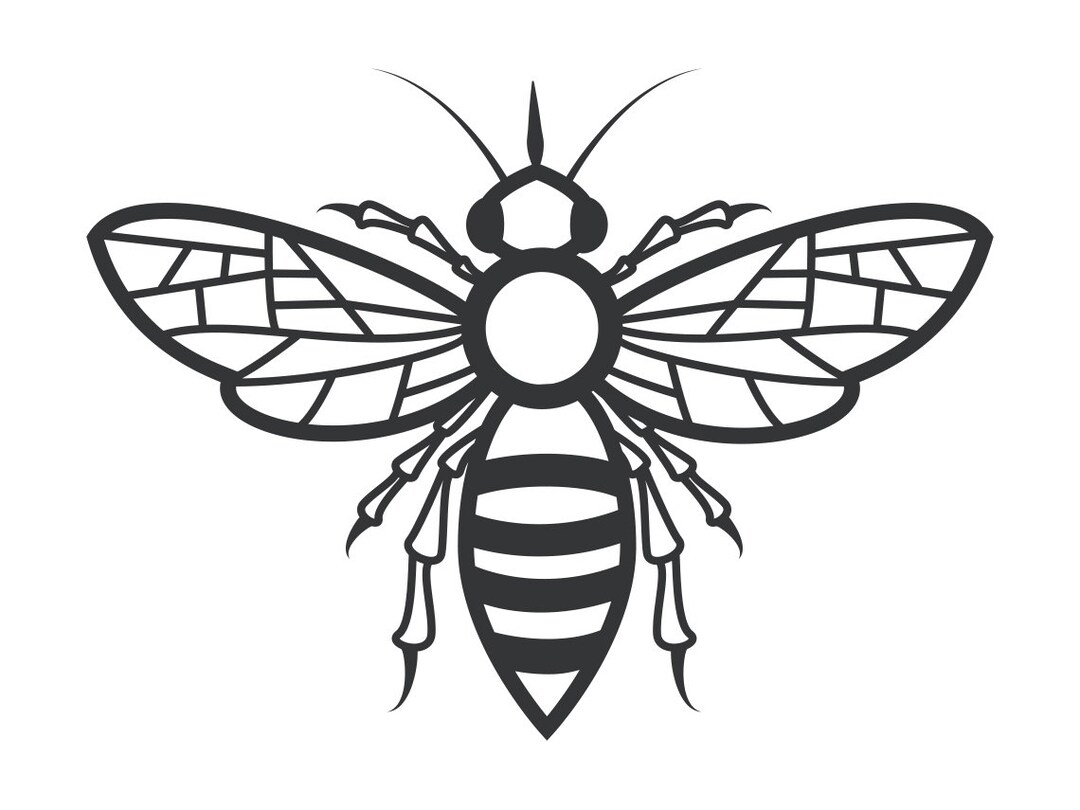 Bee SVG, Queen Bee Svg, Honey Svg, Bee Clipart, Bee Files for Cricut ...