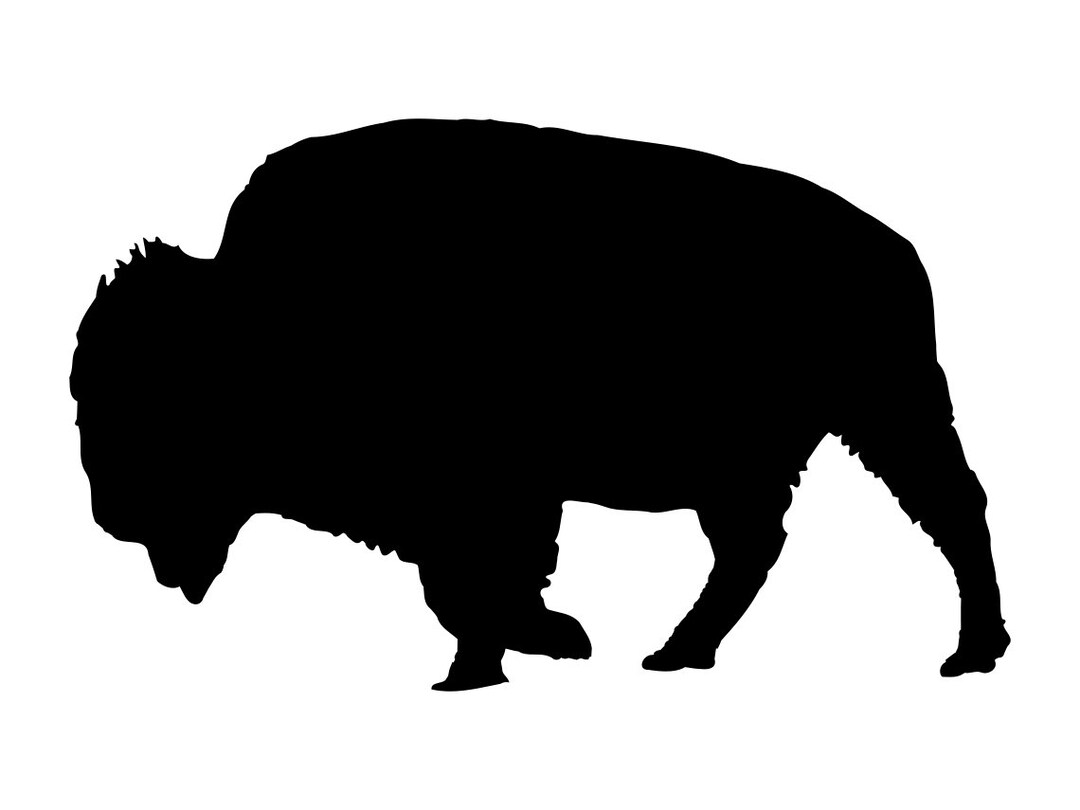 Bison SVG, Buffalo Svg, Bison Clipart, Bison Files for Cricut, Bison ...