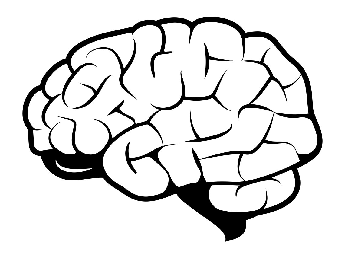 Brain 2 SVG Brain Svg Brain Clipart Brain Files for - Etsy