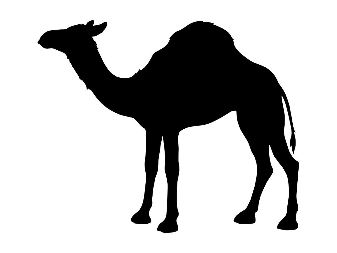 Camel #2 SVG, Camel Svg, Camel Clipart, Camel Files for Cricut, Camel ...