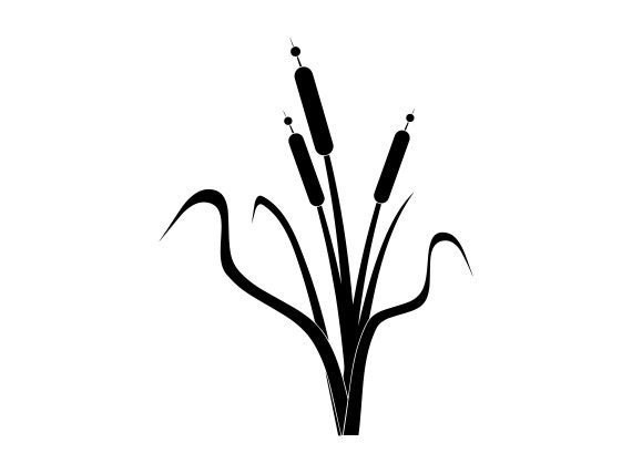 Cattail Svg Bulrush Plant SVG Cattail Clipart Cattail Files - Etsy