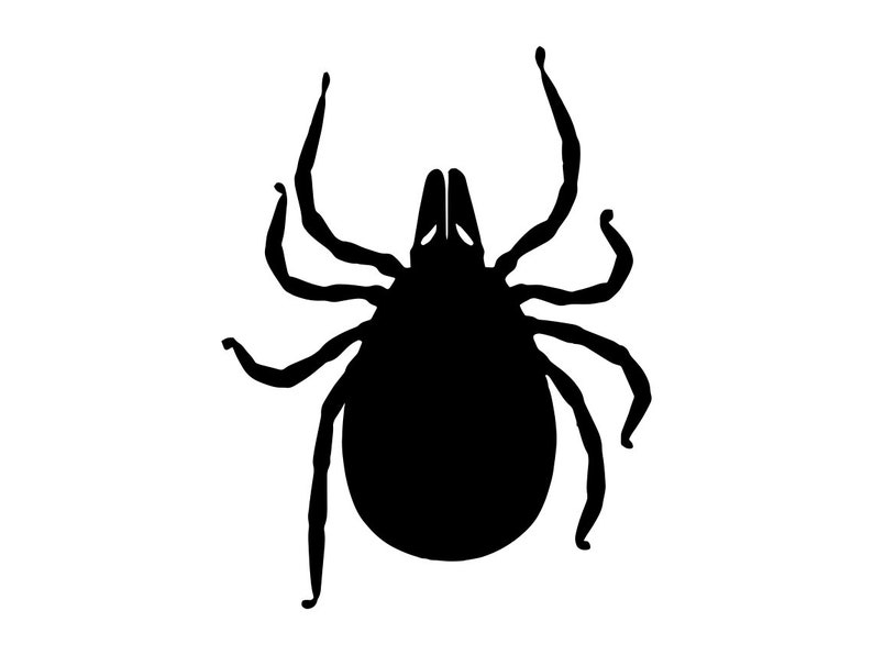 Tick SVG, Ticks Svg, Insect Svg, Tick Clipart, Tick Files for Cricut, Tick Cut Files for ...