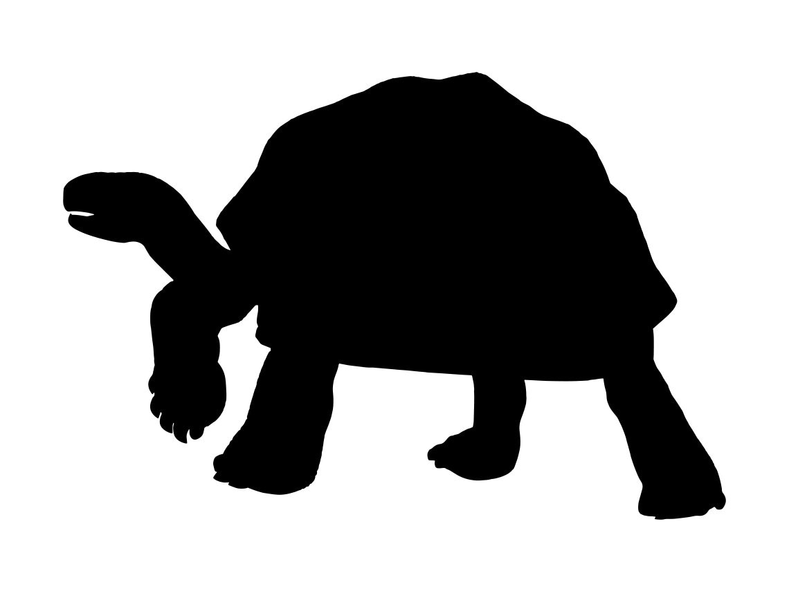 Turtle Silhouette #2 SVG, Turtle Svg, Tortoise SVG, Turtle Clipart ...