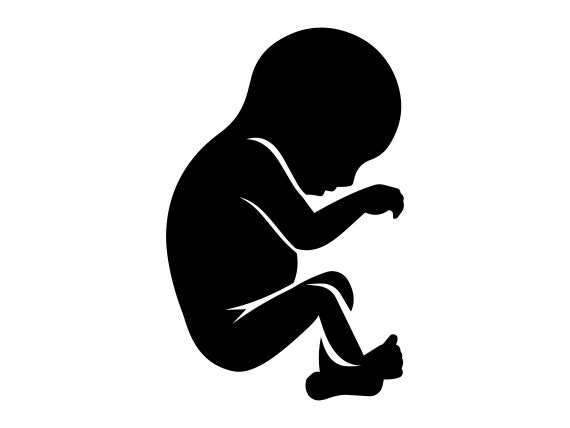 Fetus Svg Baby SVG Newborn Svg Baby Clipart Baby Files for - Etsy España