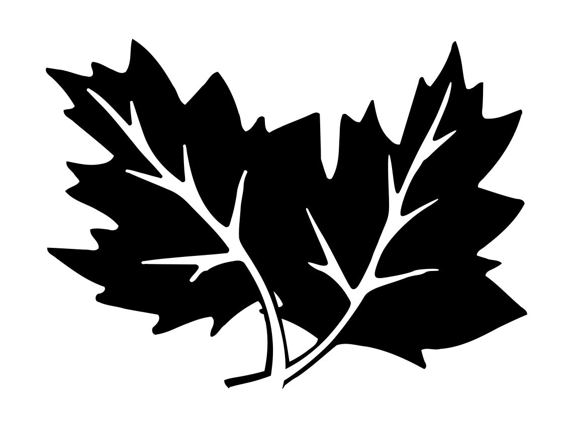 Oak Leaves SVG Leaf SVG Foliage SVG Autumn Svg Leaf - Etsy