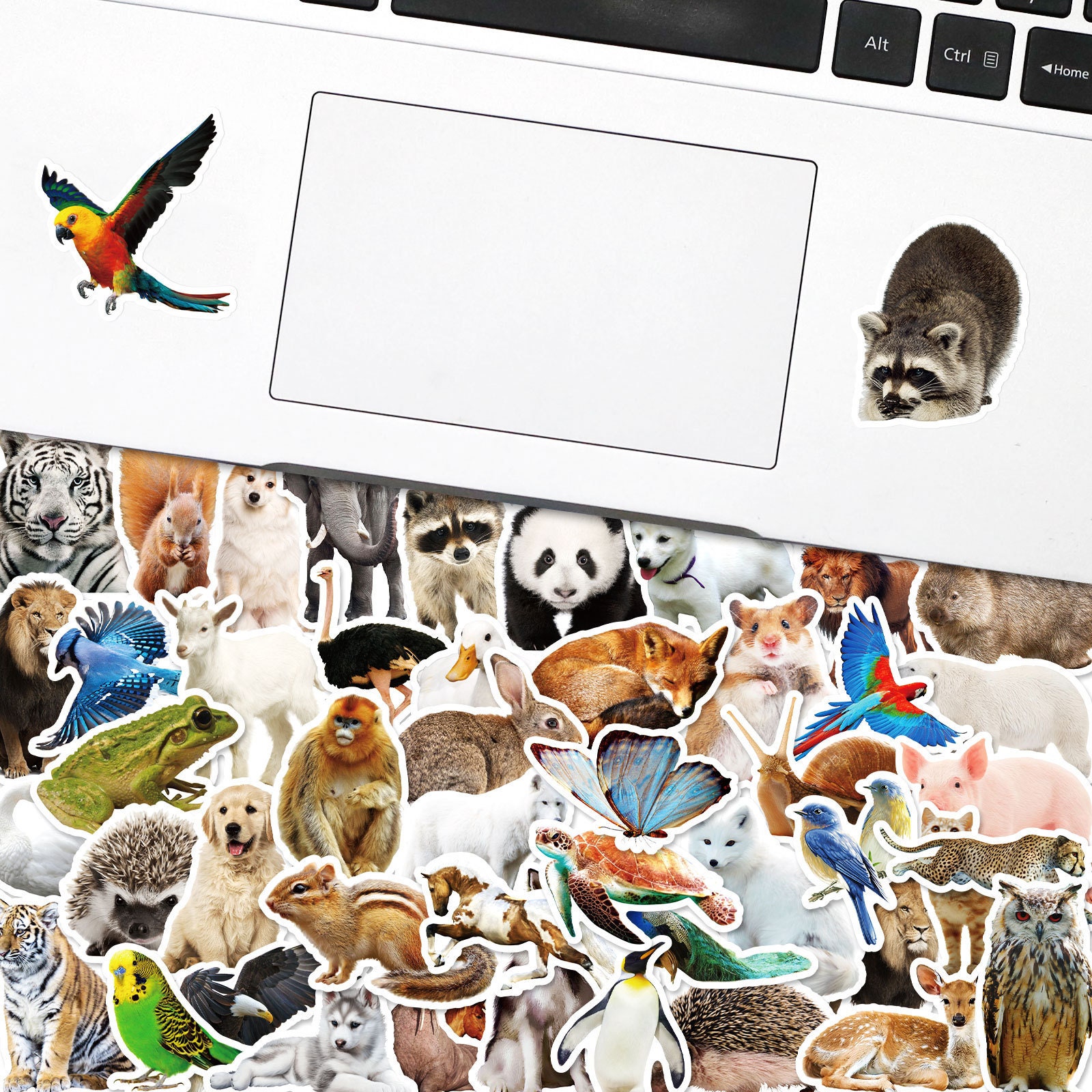 50PCS Animal Stickers Waterproof Vinyl Zoo Decals Animal - Etsy