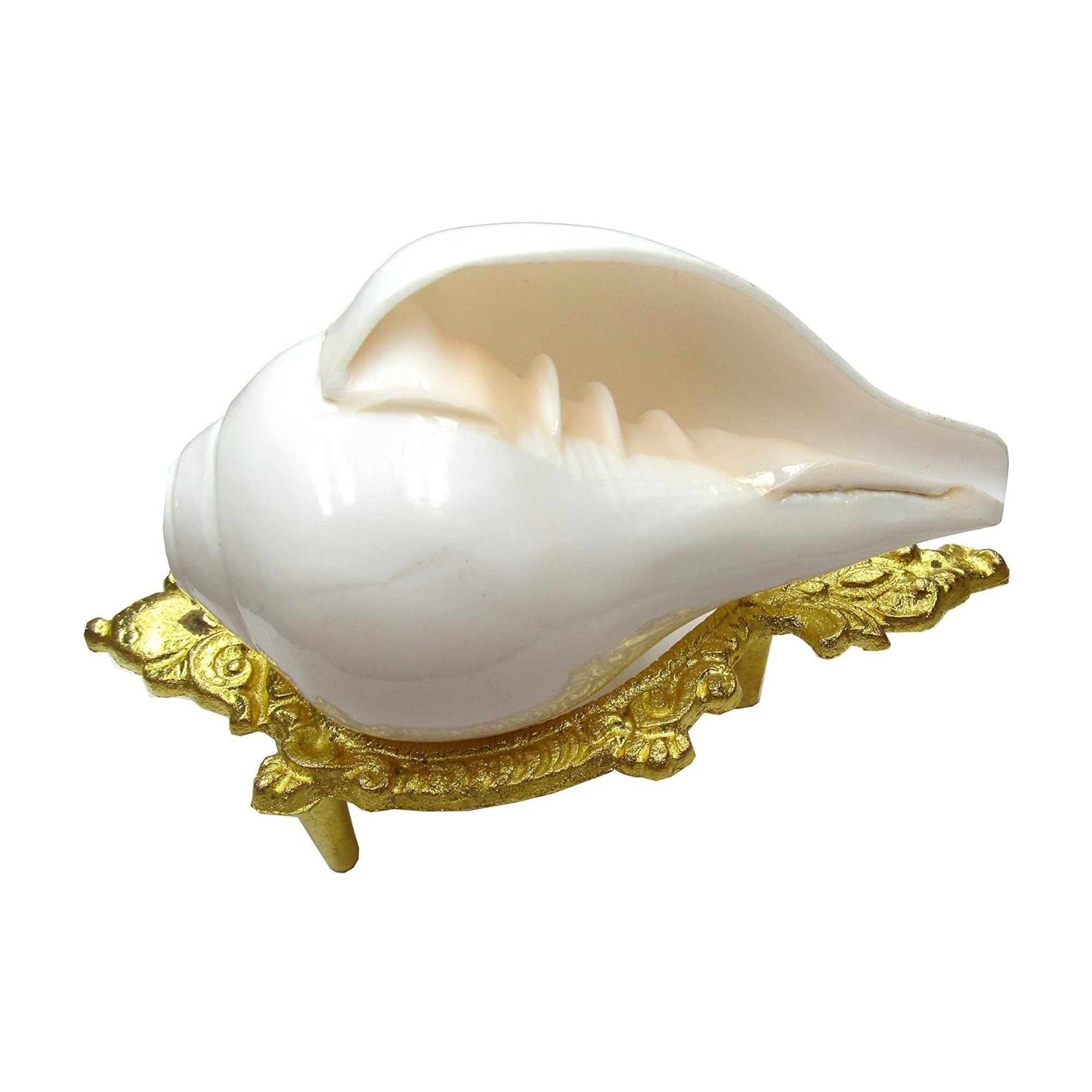 Loud Blowing Shankh Original for Pooja 5 Inch Conch Shell With Stand - Etsy