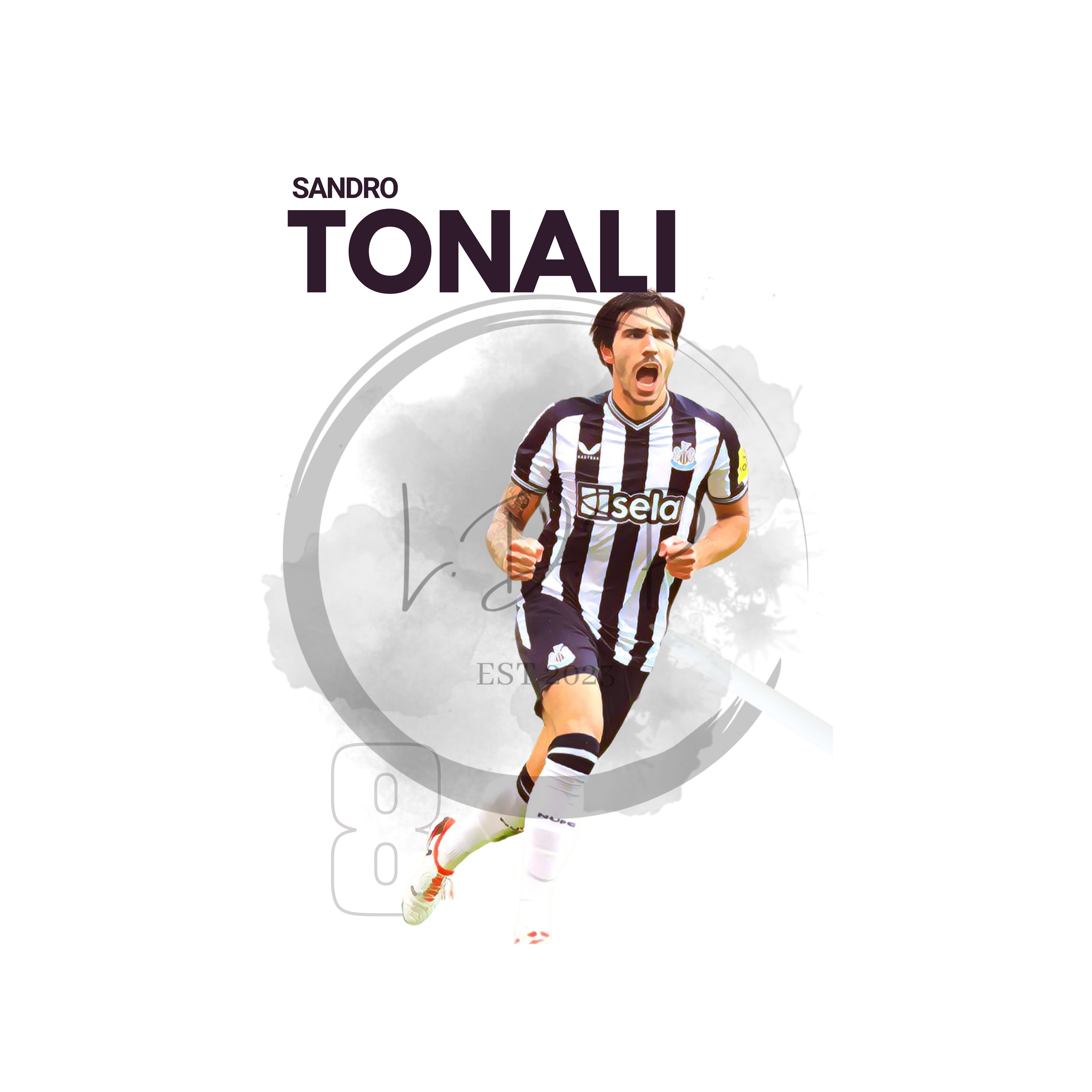 Sandro Tonali Newcastle United A4 Print Football Player Art, Sports ...
