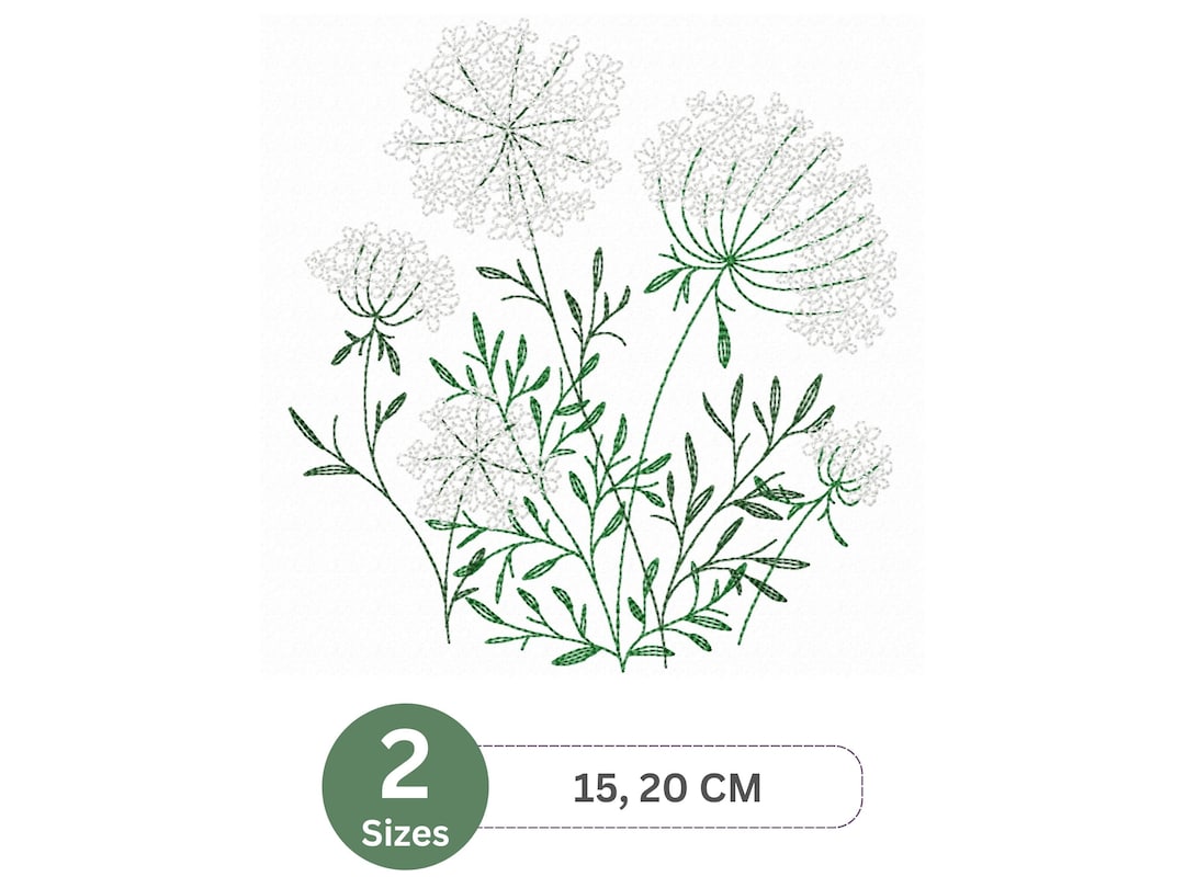Delicate Queen Anne’s Lace Embroidery Design – Elegant Floral Stitch - Etsy