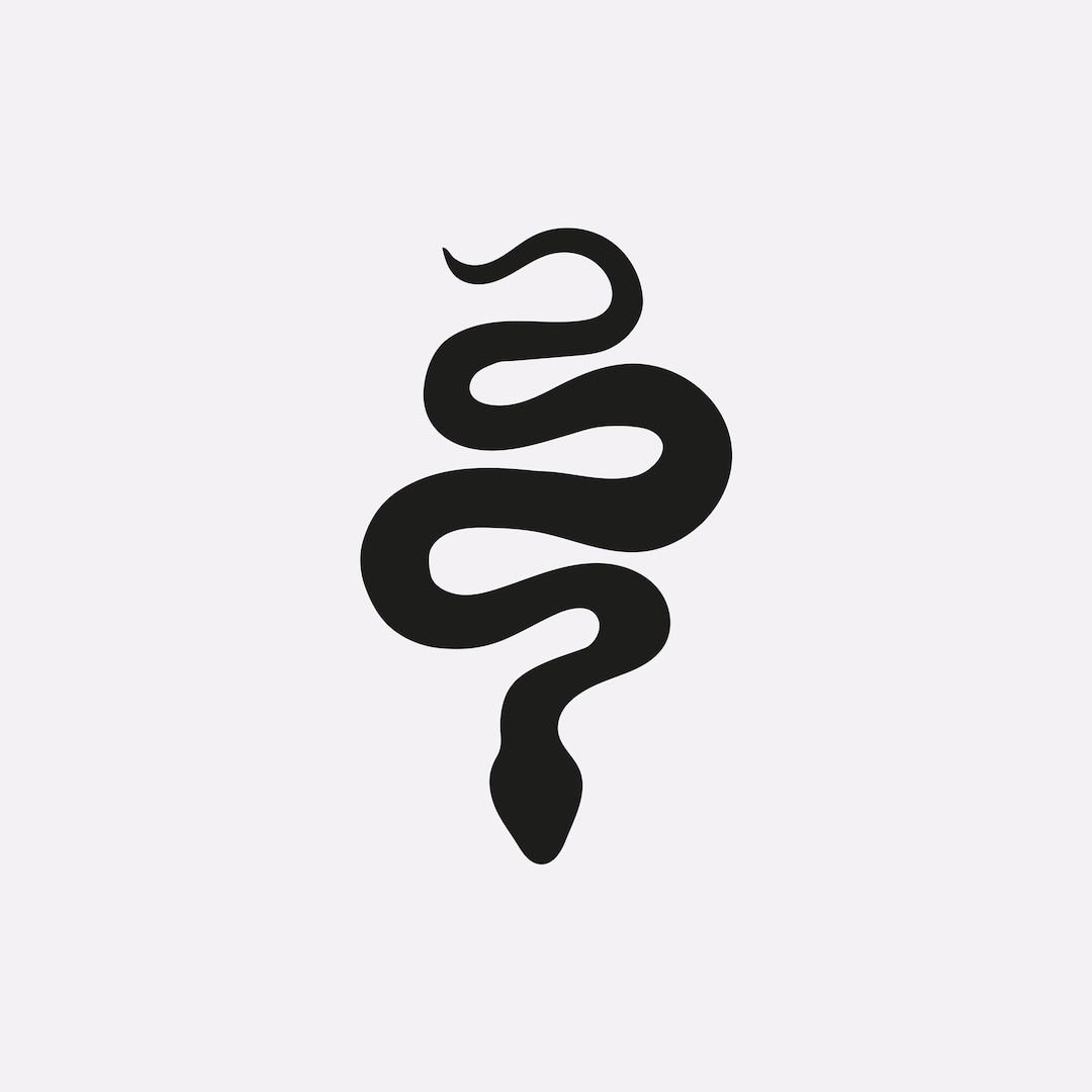 Snake SVG, Reptile SVG, PNG, Digital Download, Cricut,cameo, Snake ...