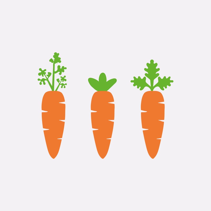 Framed Carrot Print - Etsy
