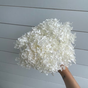 Preserved White Hydrangea/ Dried Stem/ Decor/wedding/ DIY/ Hydies - Etsy