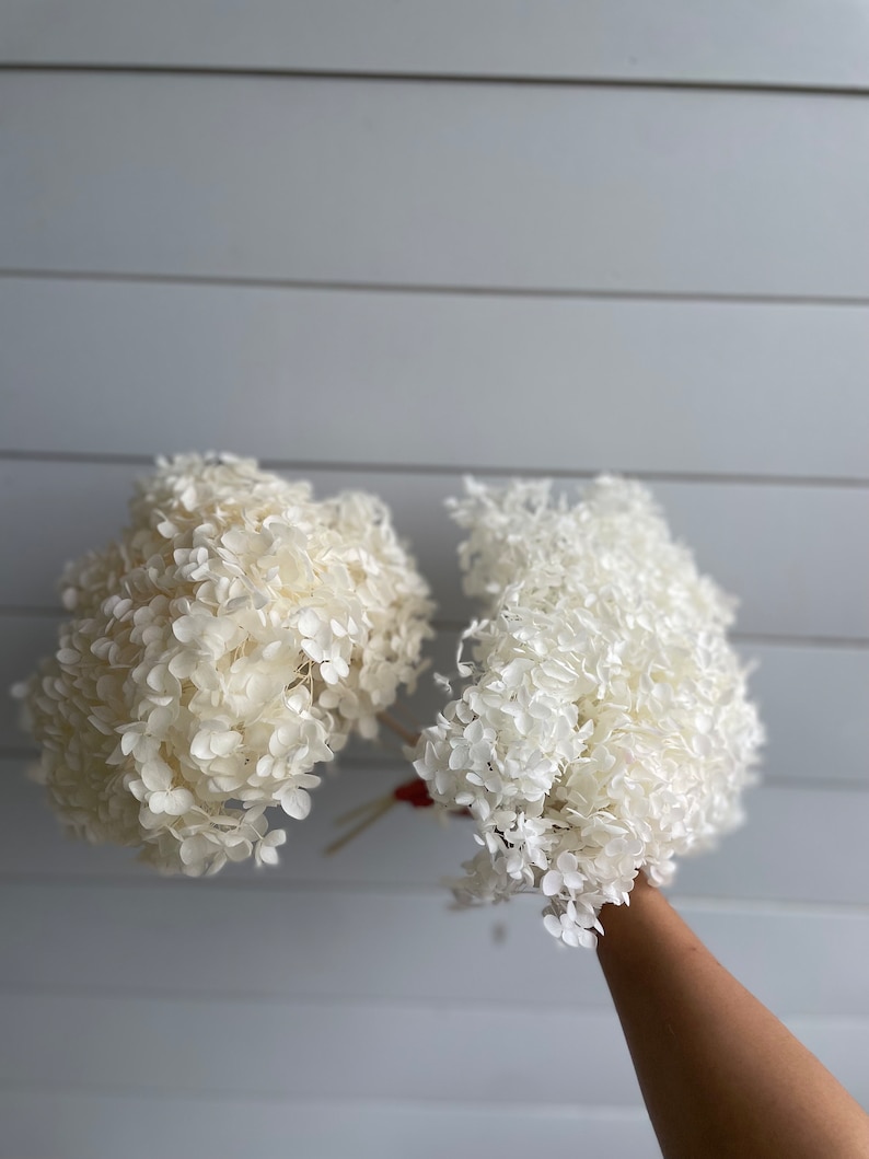 Preserved White Hydrangea/ Dried Stem/ Decor/wedding/ DIY/ Hydies - Etsy