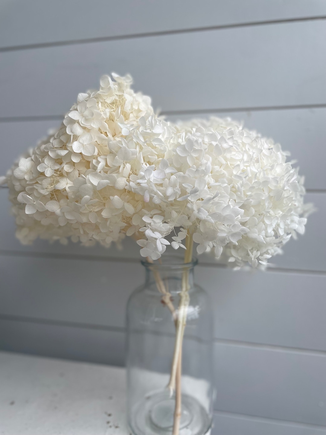 Preserved White Hydrangea/ Dried Stem/ Decor/wedding/ DIY/ Hydies - Etsy