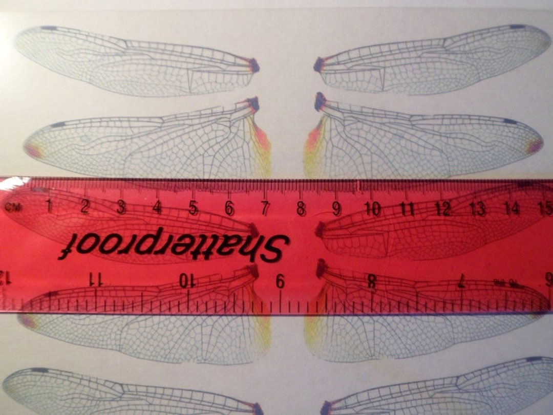 Dragonfly Wings Acetate Double Wings - Etsy