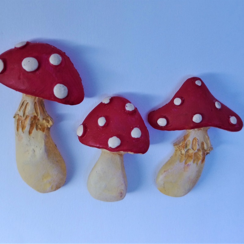 Mushroom Fridge Magnet Set - Etsy UK