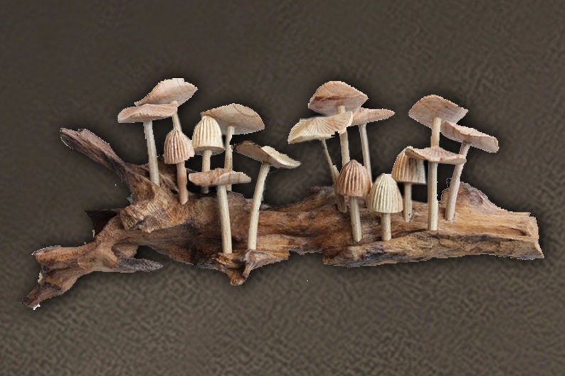 Wooden Mushroom Wall Art, Mushroom Wall Decor, Vintage Wall Decor ...