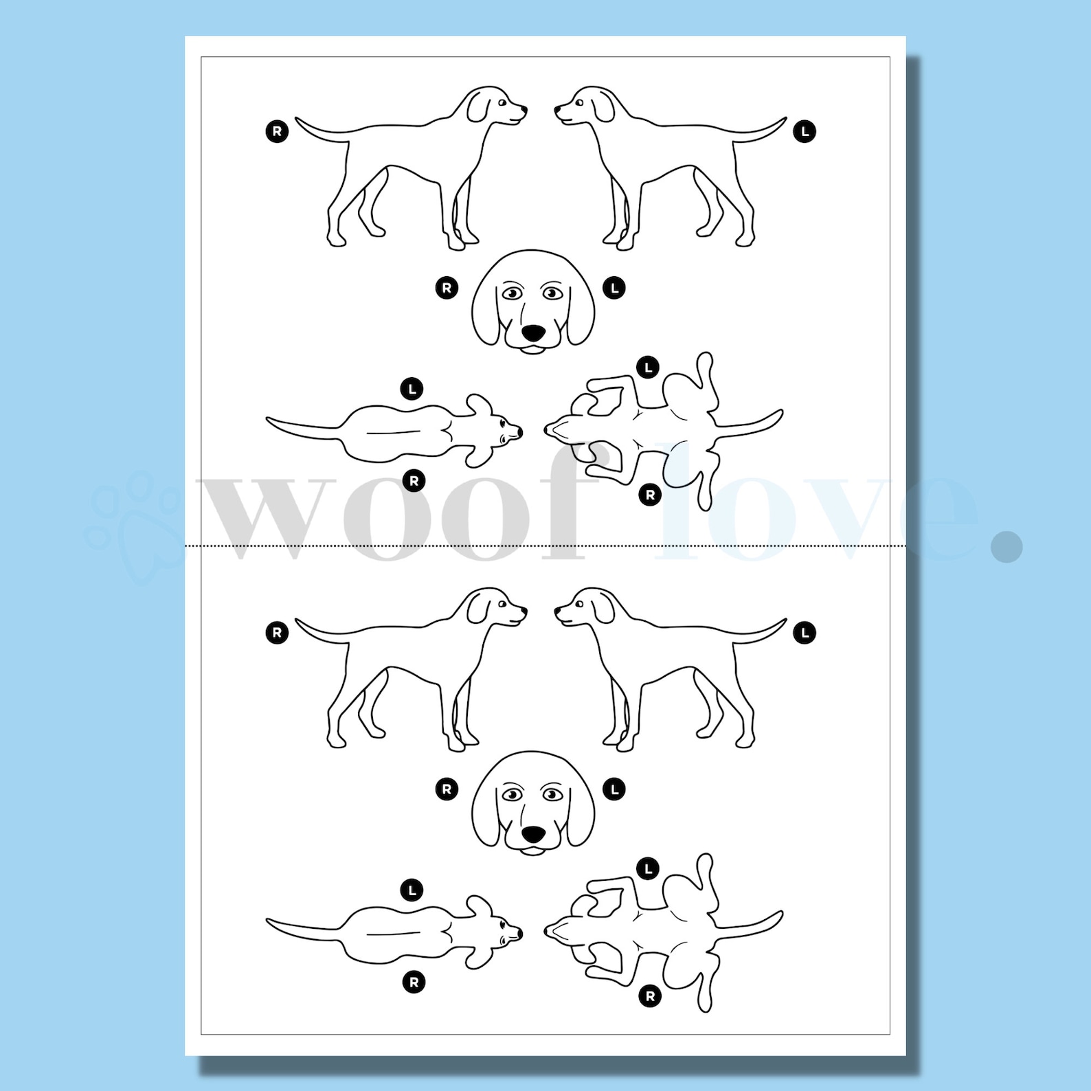Printable Canine Body/skin Map (MONO EDITION) | Mobile Dog Grooming ...