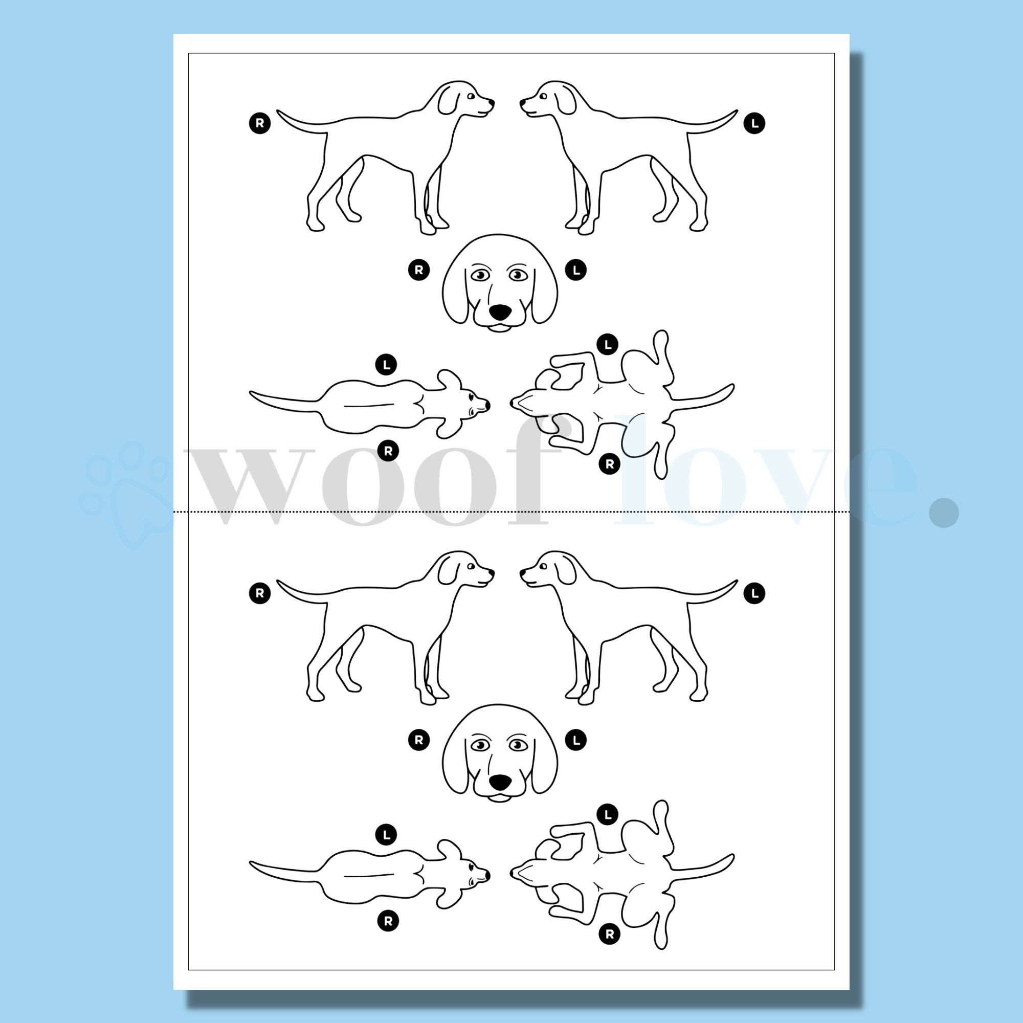 Printable Canine Body/skin Map (MONO EDITION) | Mobile Dog Grooming ...
