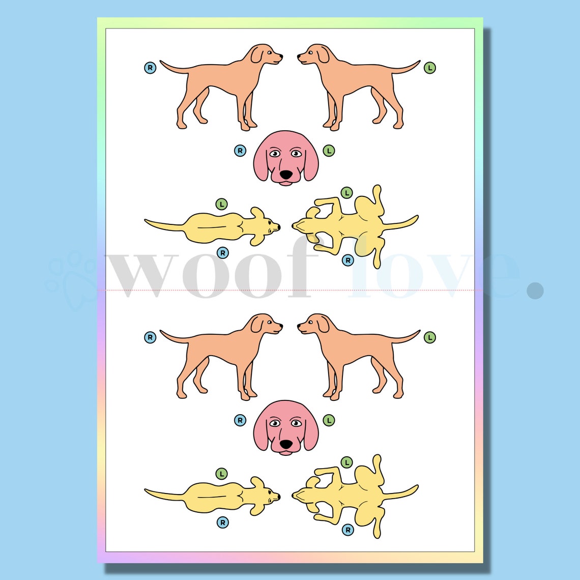 Printable Canine Body/skin Map RAINBOW EDITION Mobile Dog - Etsy