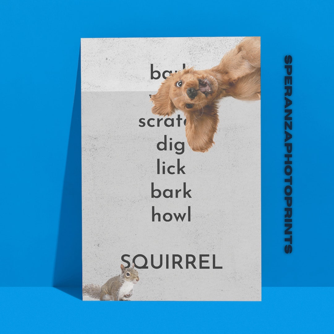 Wack Dog Poster - Etsy