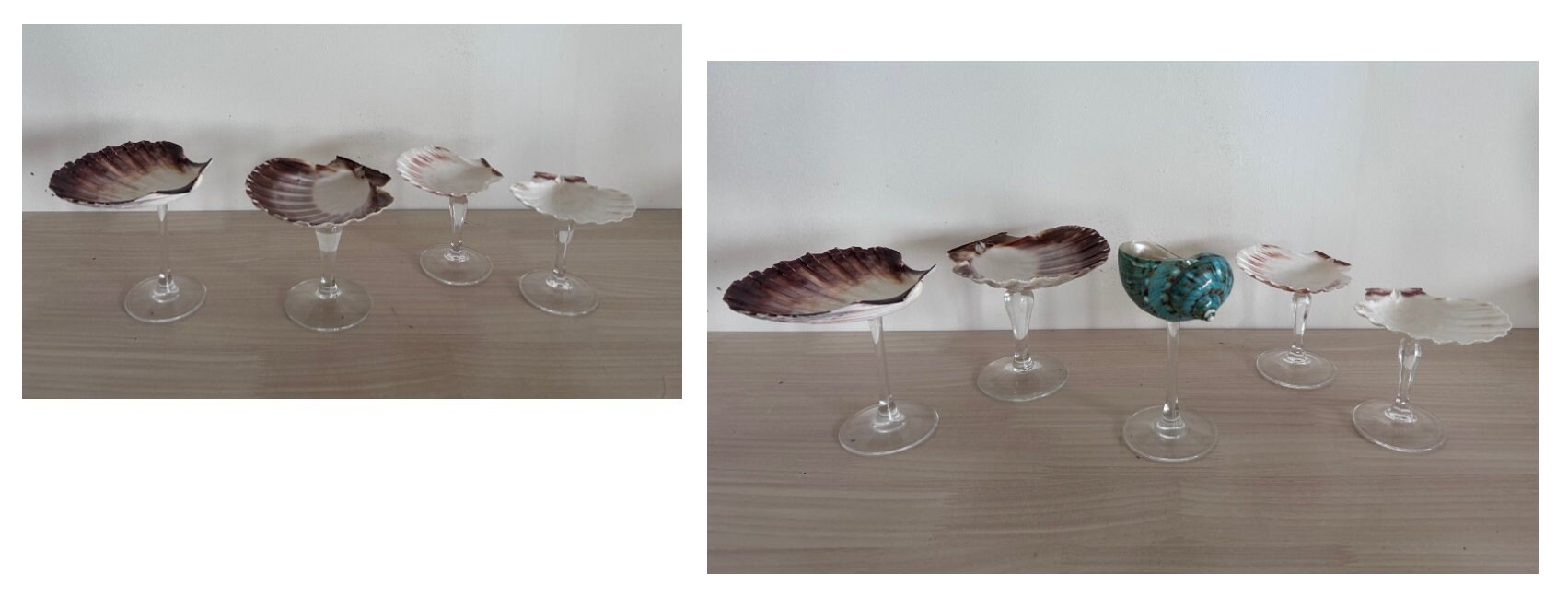 Seashell Martini Glasses - Etsy