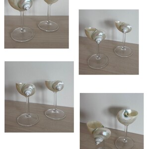 Seashell Martini Glasses - Etsy