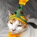 Christmas Tree Cat Hat Holiday Hat for Cats Festive Cat Hat - Etsy