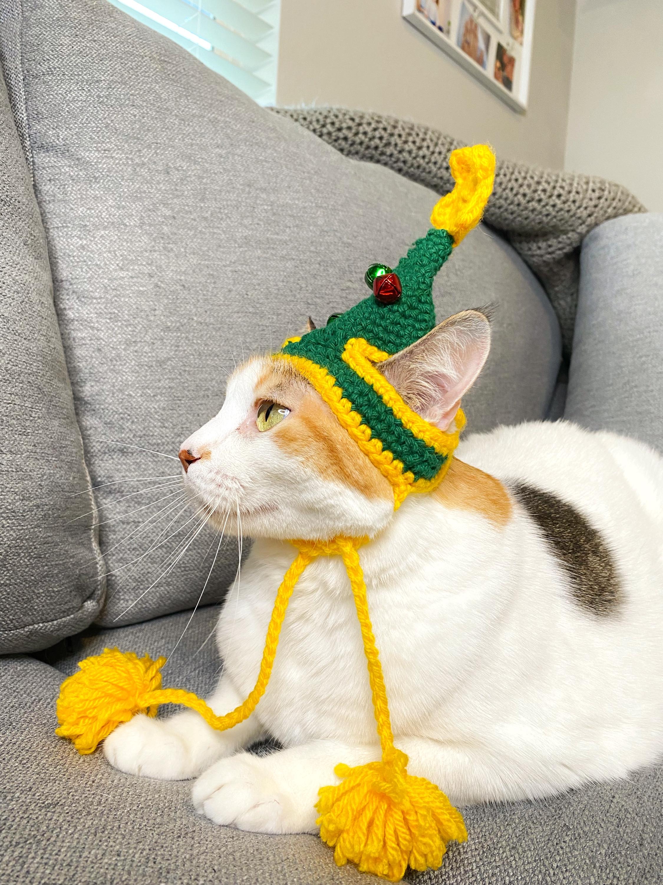 Christmas Tree Cat Hat, Holiday Hat for Cats, Festive Cat Hat, Fun Cat ...