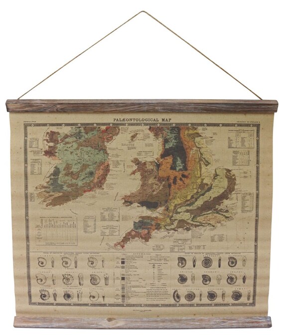 Paleontology Ammonite Map Historical Map Wall Map Antique - Etsy