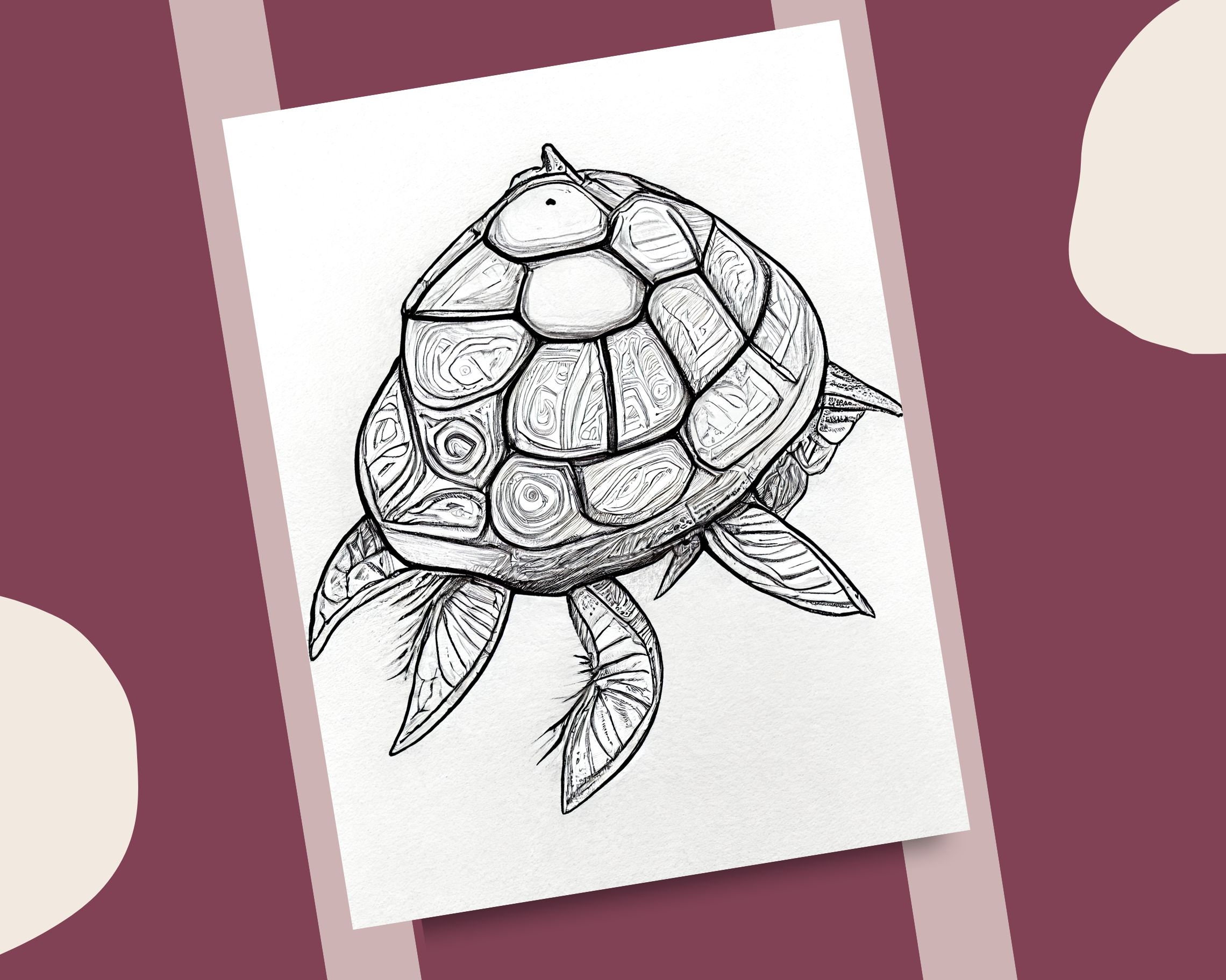 10 Turtle Shells Coloring Pages Realistic Turtles Printable Coloring ...