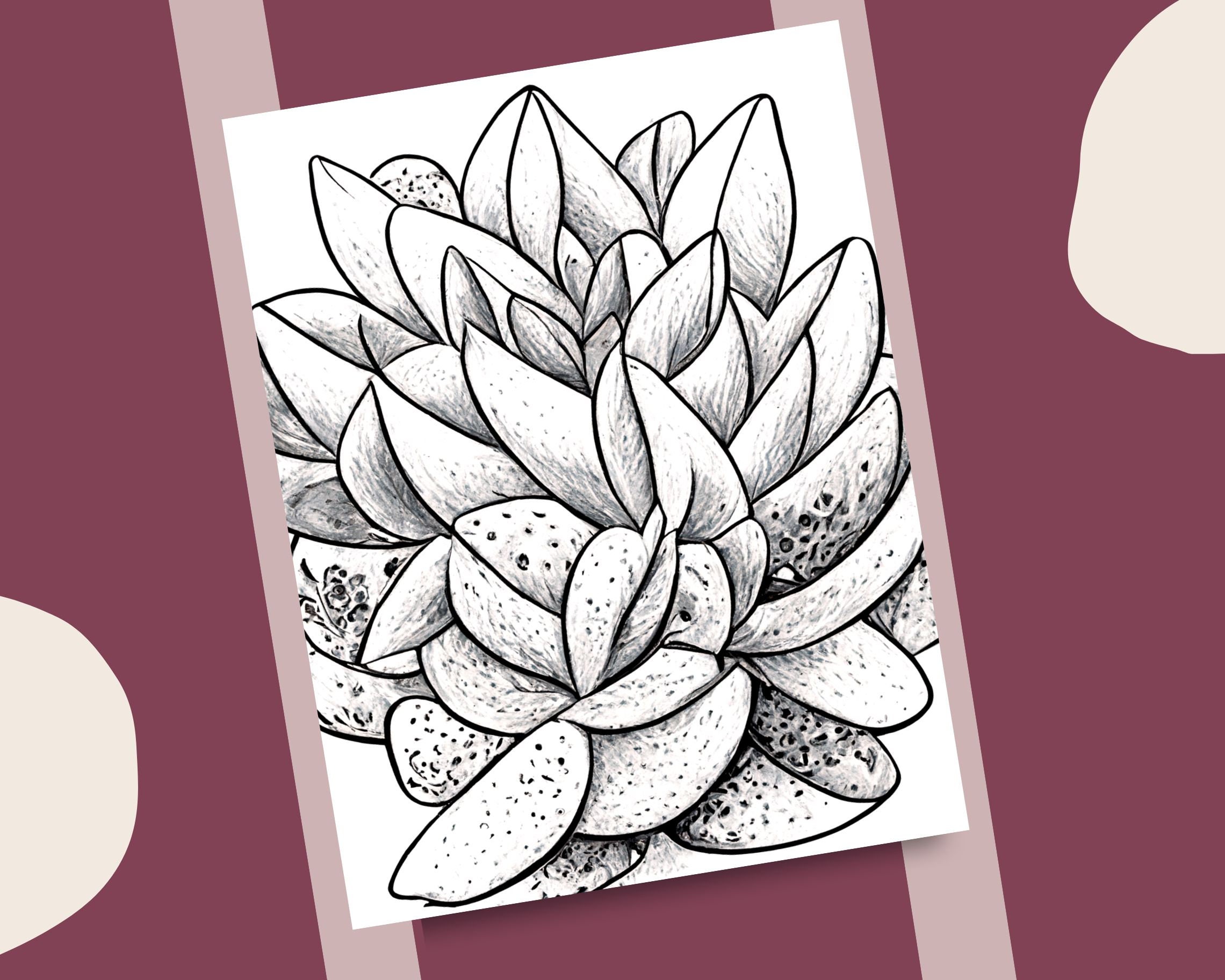 10 Succulents Coloring Pages Succulent Plant Nature Printable Coloring ...