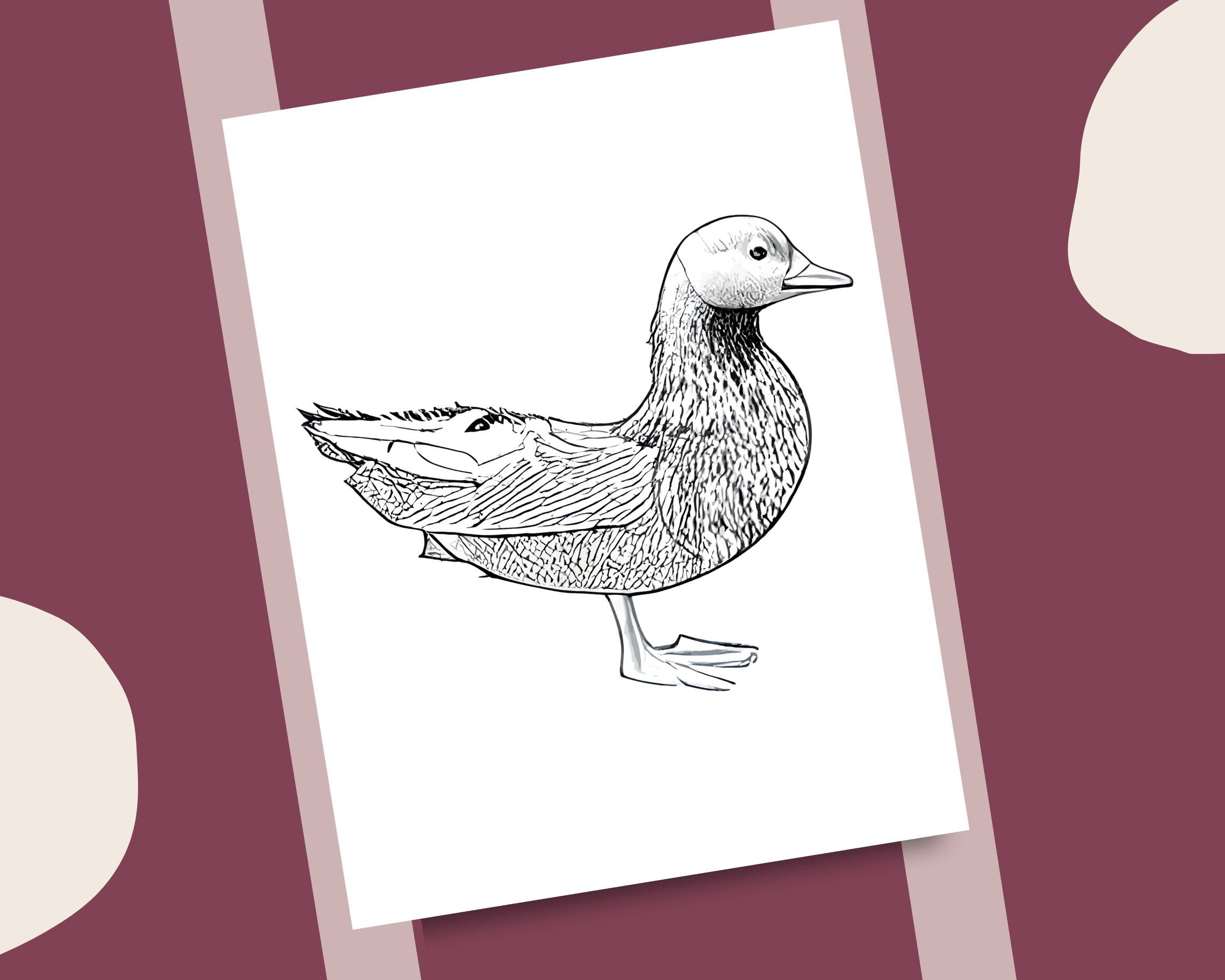 30 Ducks Coloring Pages Realistic Duck Grayscale Illustrations Coloring ...