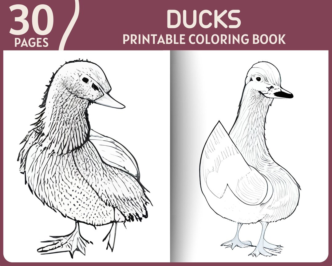 30 Ducks Coloring Pages Realistic Duck Grayscale Illustrations Coloring ...