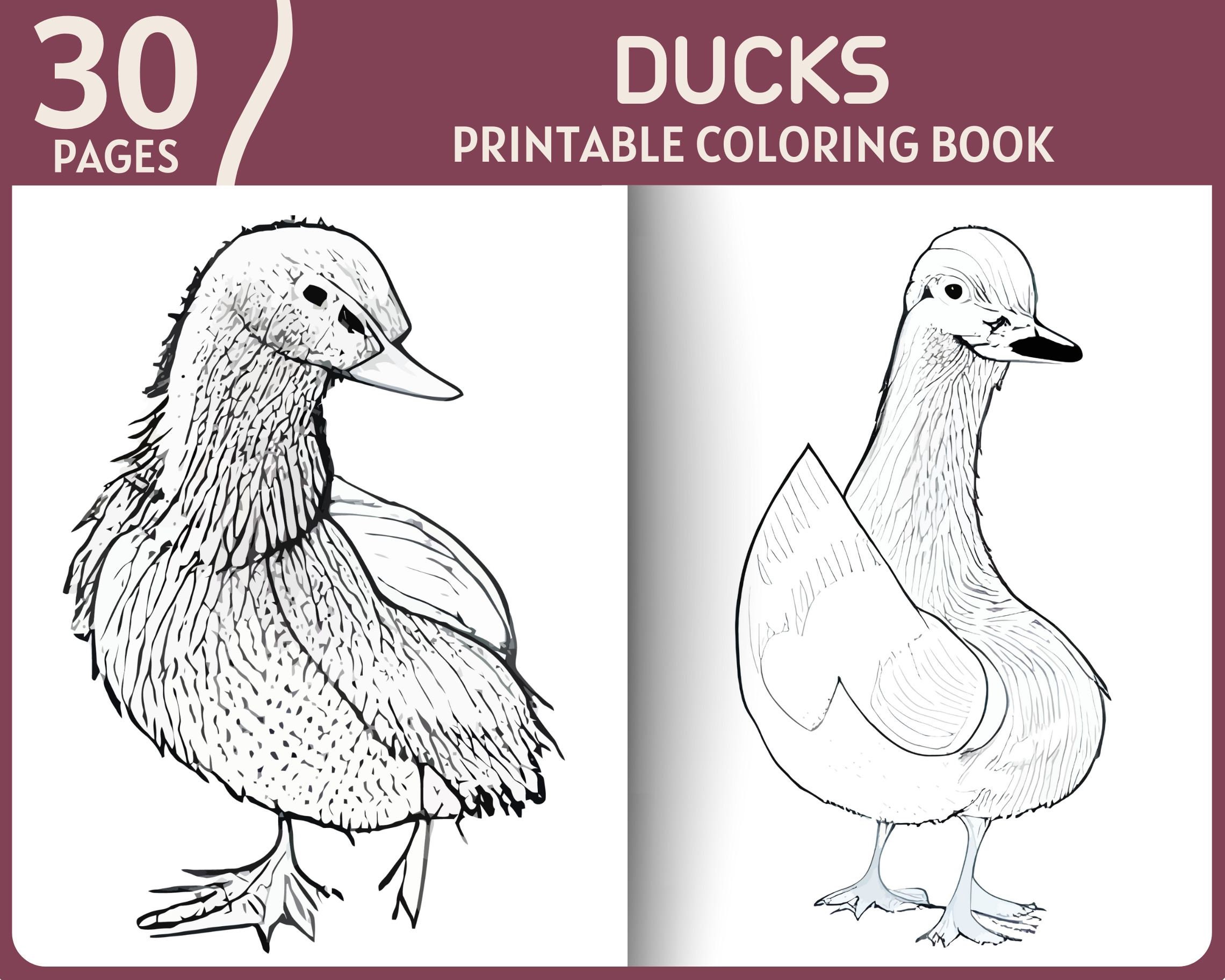 30 Ducks Coloring Pages Realistic Duck Grayscale Illustrations Coloring ...