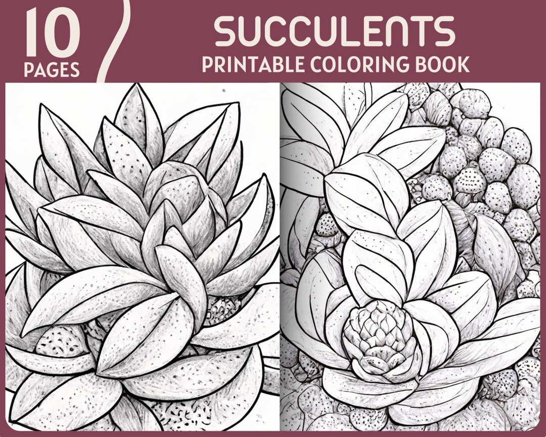 10 Succulents Coloring Pages Succulent Plant Nature Printable Coloring ...