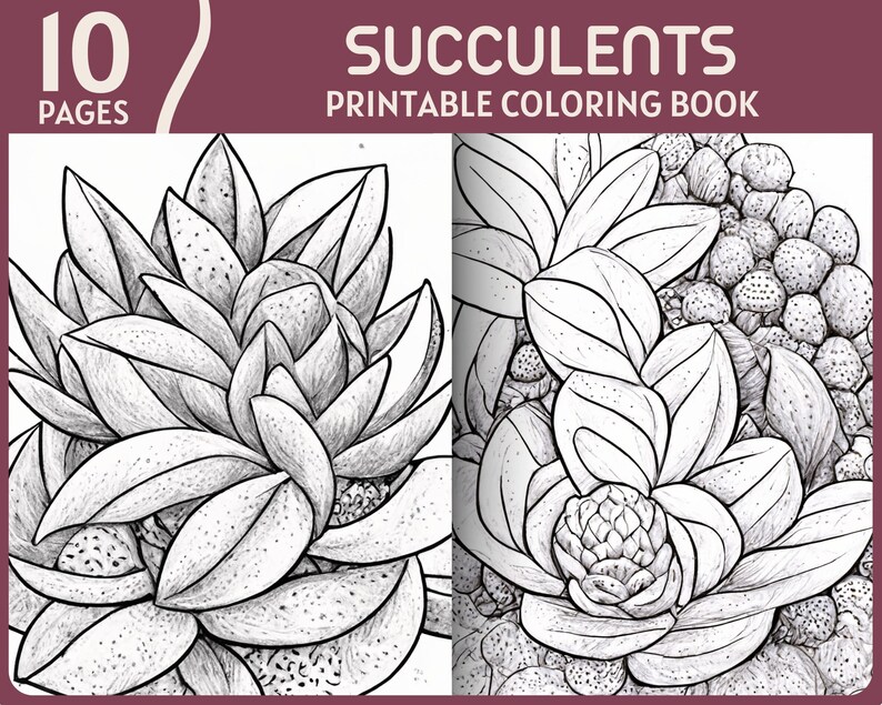 10 Succulents Coloring Pages Succulent Plant Nature Printable Coloring ...