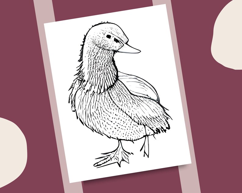 30 Ducks Coloring Pages Realistic Duck Grayscale Illustrations Coloring ...