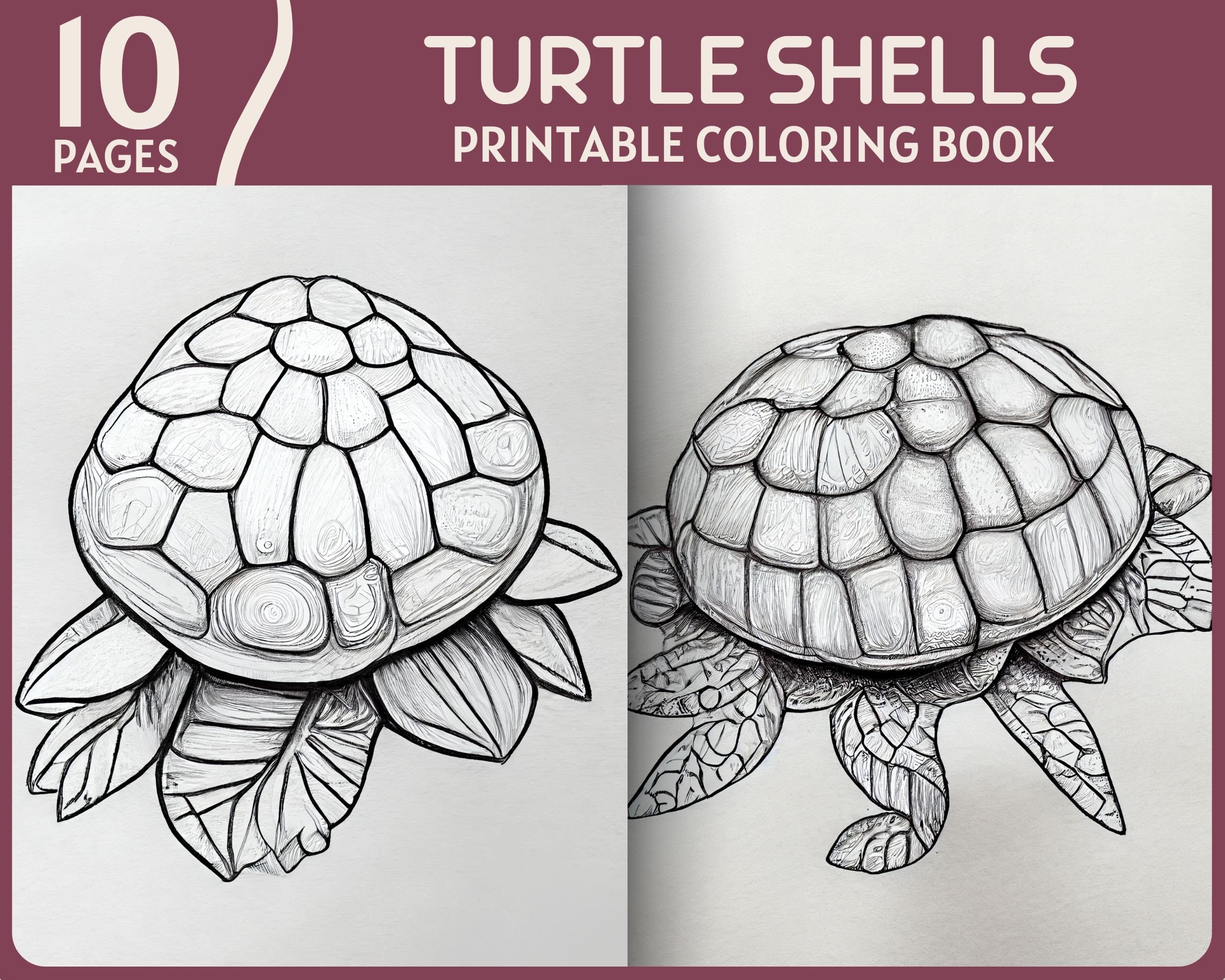 10 Turtle Shells Coloring Pages Realistic Turtles Printable Coloring ...