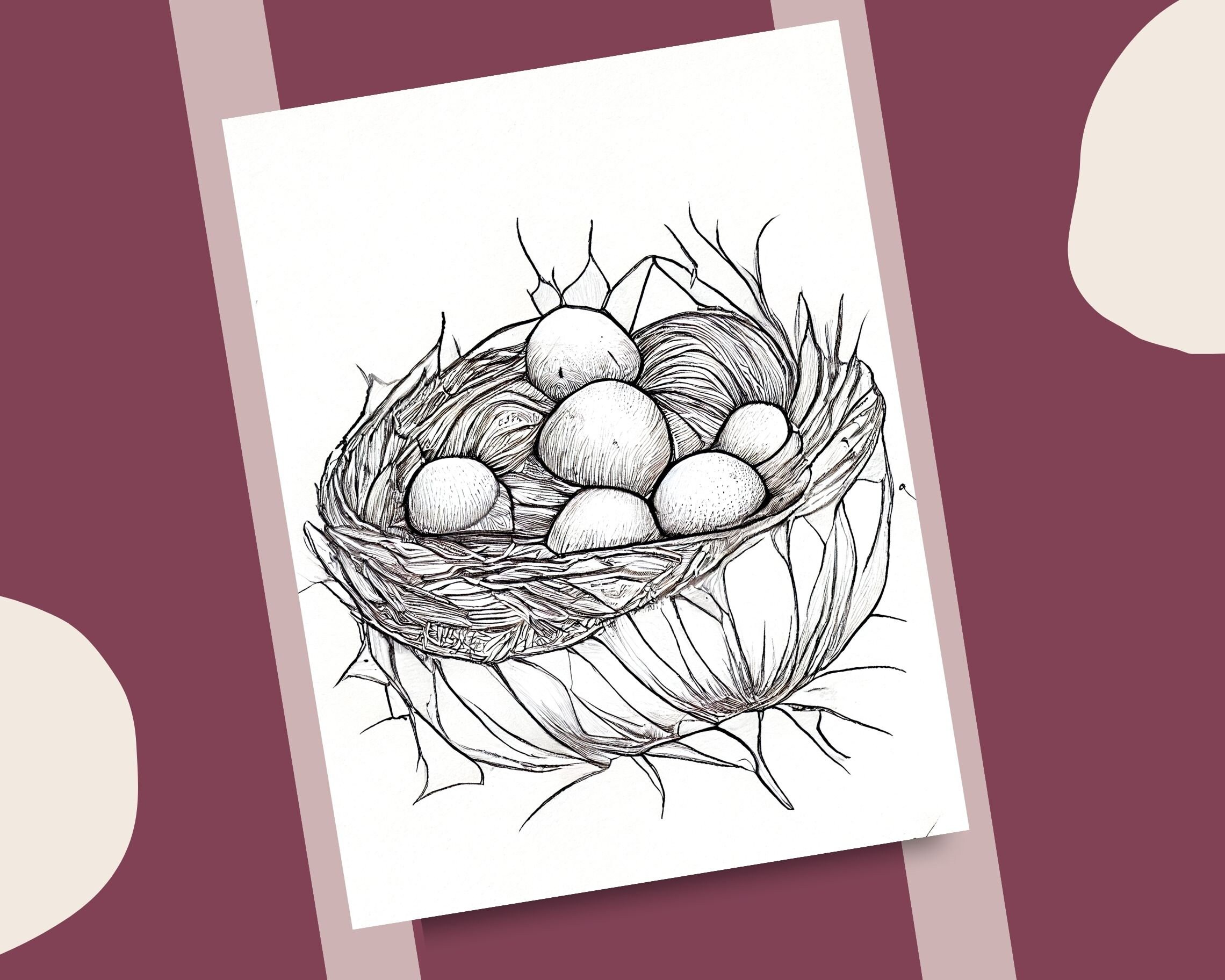 Bird Egg Coloring Pages