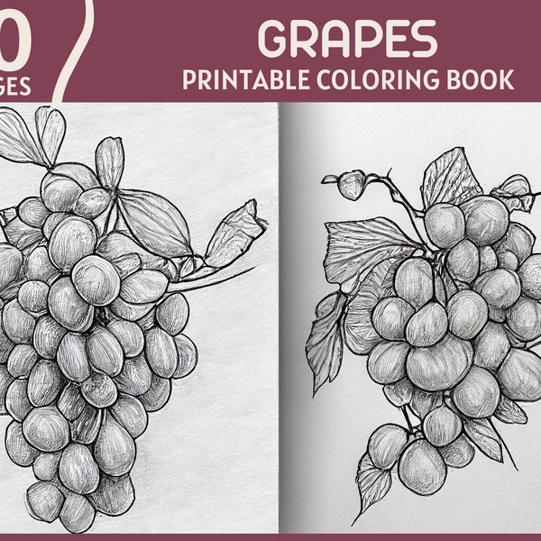 Realistic Food Coloring Pages - Etsy