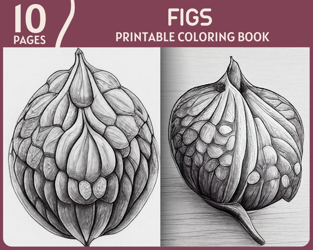 10 Figs Coloring Pages Realistic Fruit Printable Coloring Book ...