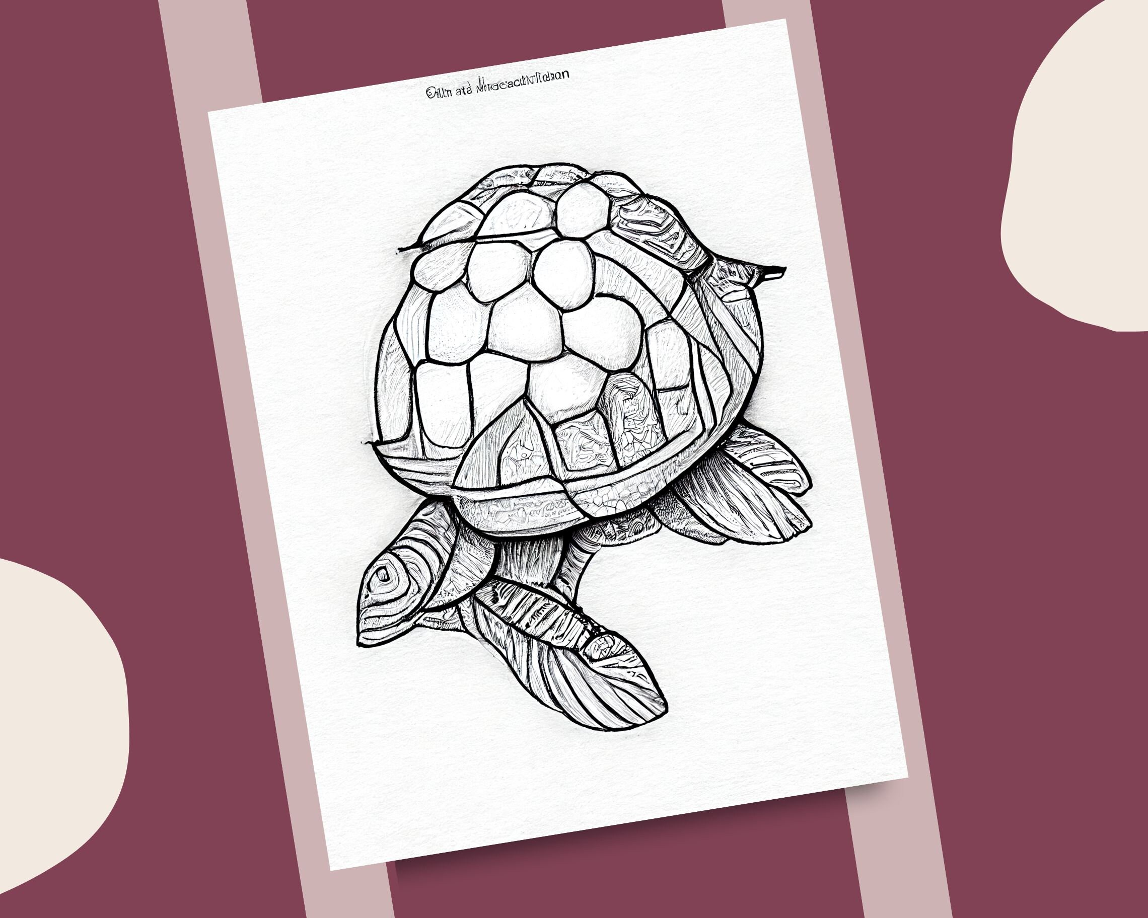 10 Turtle Shells Coloring Pages Realistic Turtles Printable Coloring ...