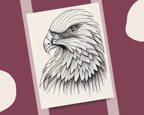 Hawk Head Coloring Page