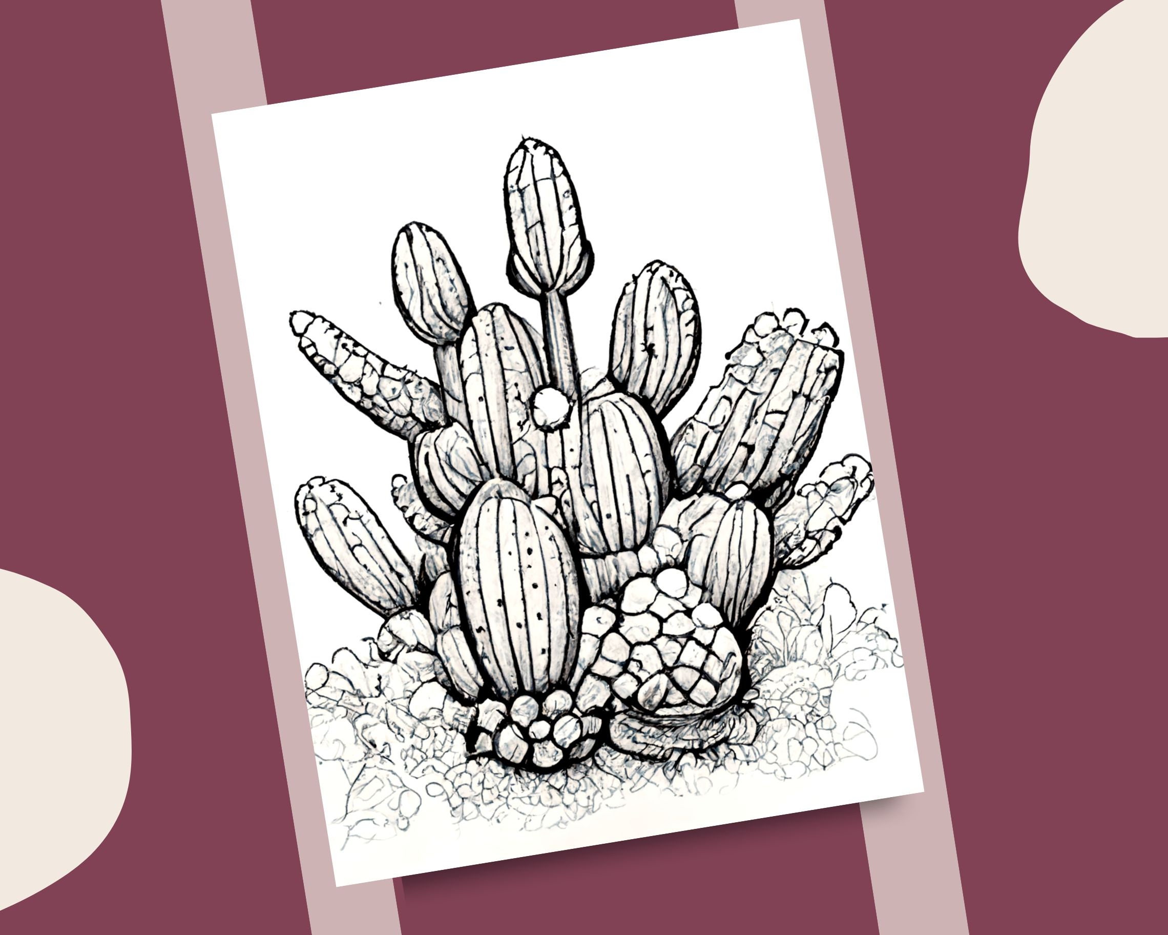 10 Cactus Coloring Pages Realistic Cacti Printable Coloring - Etsy