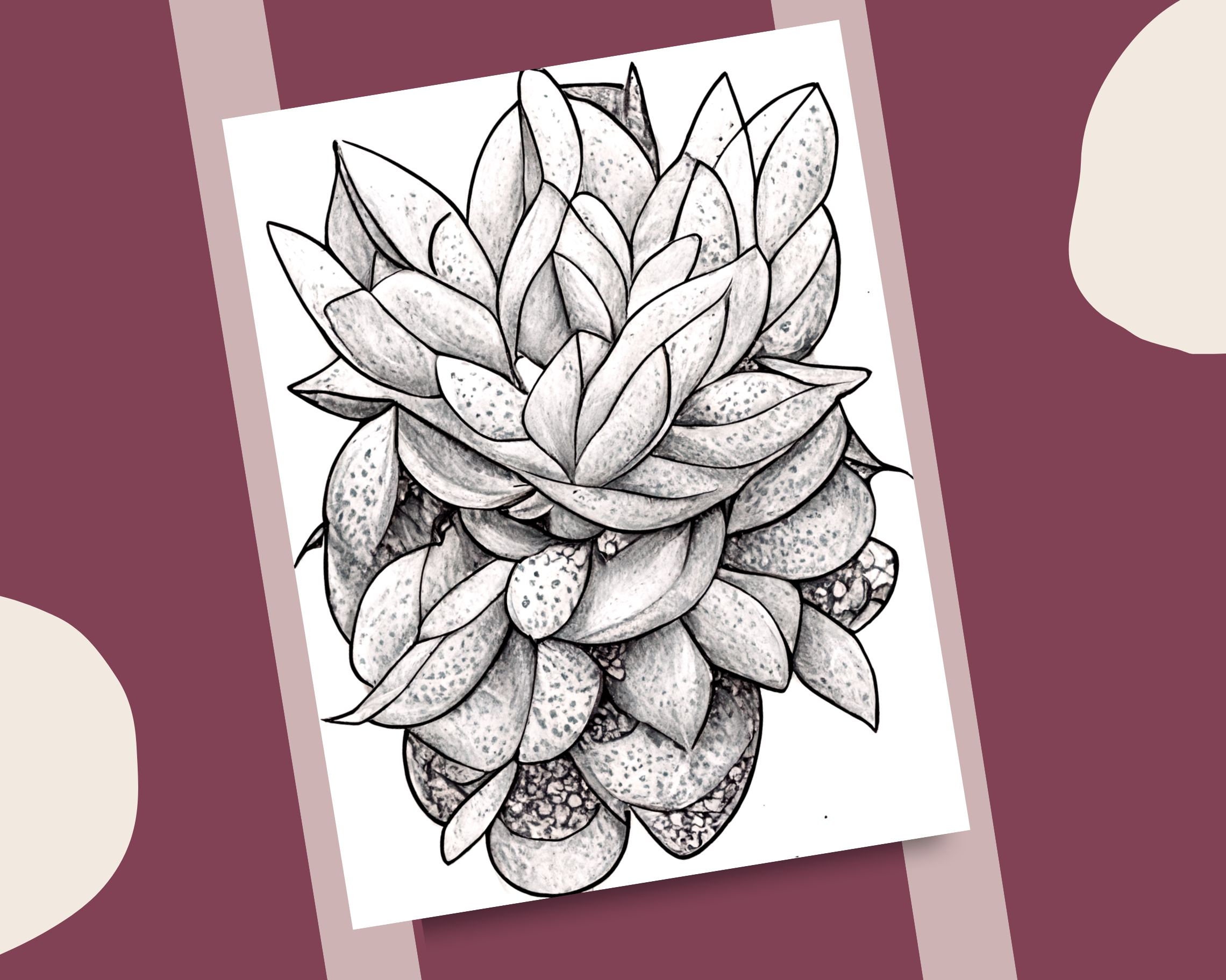 10 Succulents Coloring Pages Succulent Plant Nature Printable Coloring ...