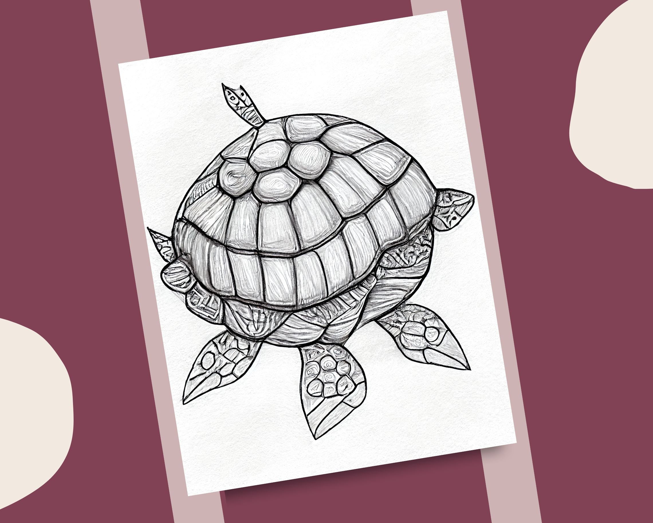 10 Turtle Shells Coloring Pages Realistic Turtles Printable Coloring ...